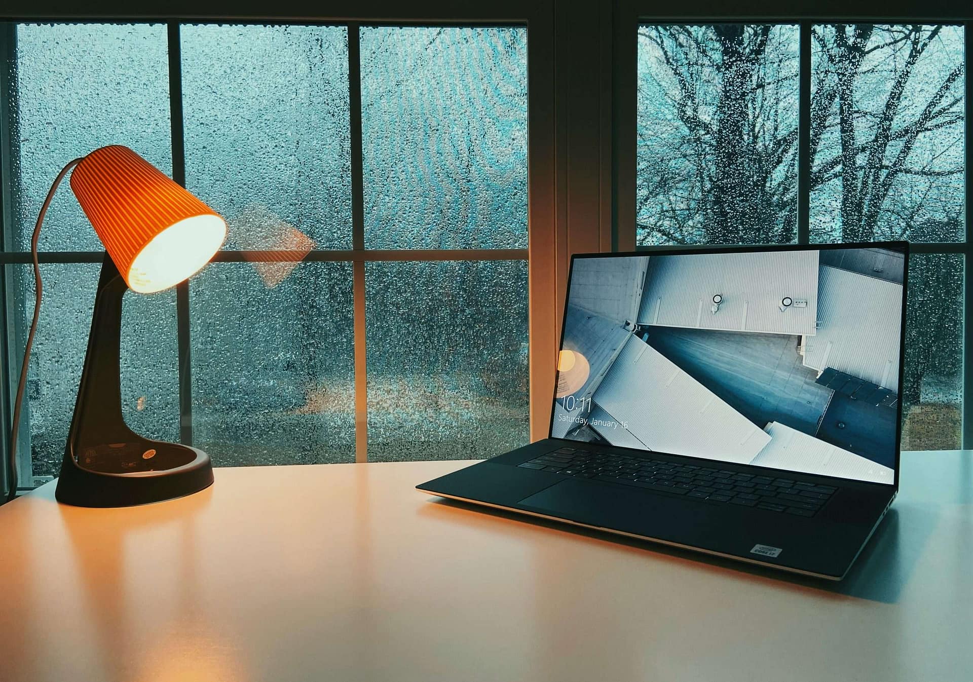 Best Ultrabook for Business: Top Picks for Professionals 2025